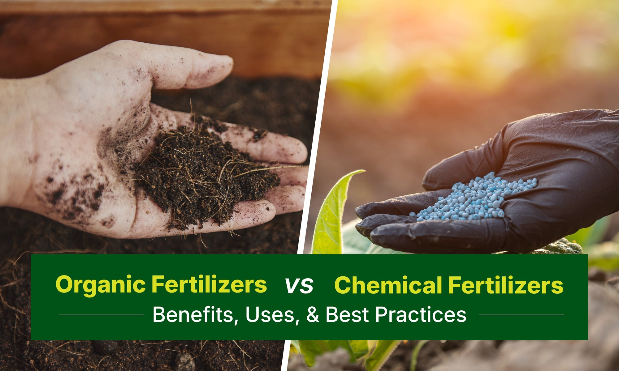 Organic vs Chemical Fertilizers: Benefits, Uses, and Best Practices ...